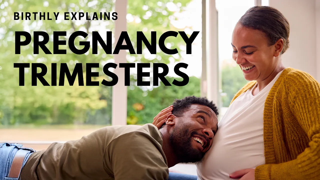 Breakdown of Trimesters - Birthly