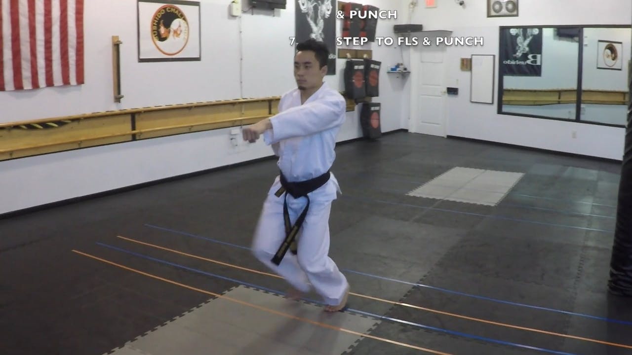 16-Blue Belt Form - Blue Belt Requirements - BUSHIDO KARATE Online ...