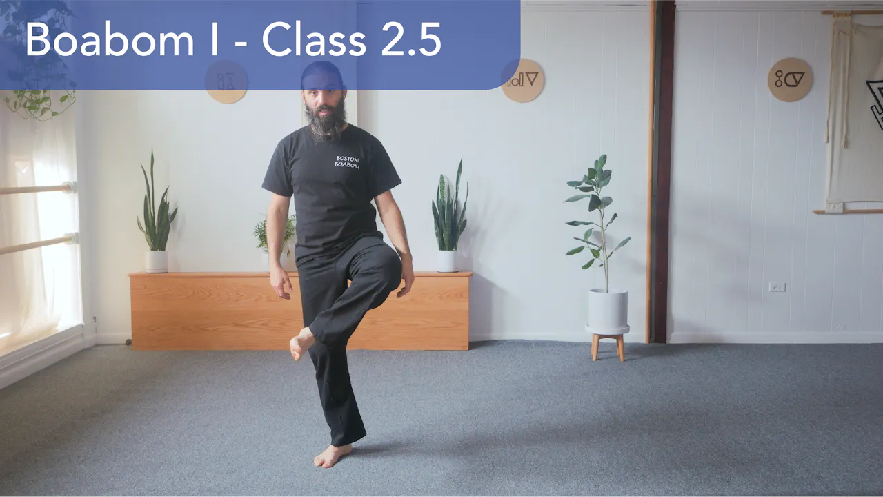 Boabom 1 - Class 2.5 - Step 2 - Boabom Journey: Mindful Movement ...