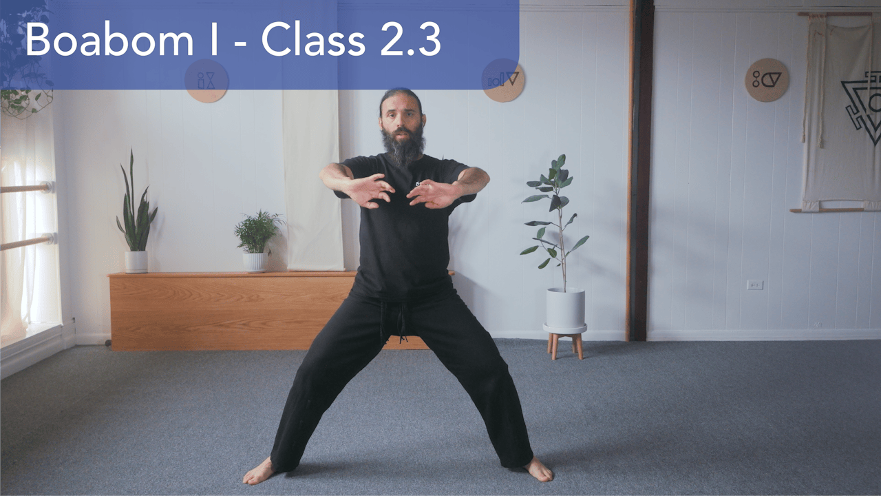 Boabom 1 - Class 2.3 - Step 2 - Boabom Journey: Mindful Movement ...