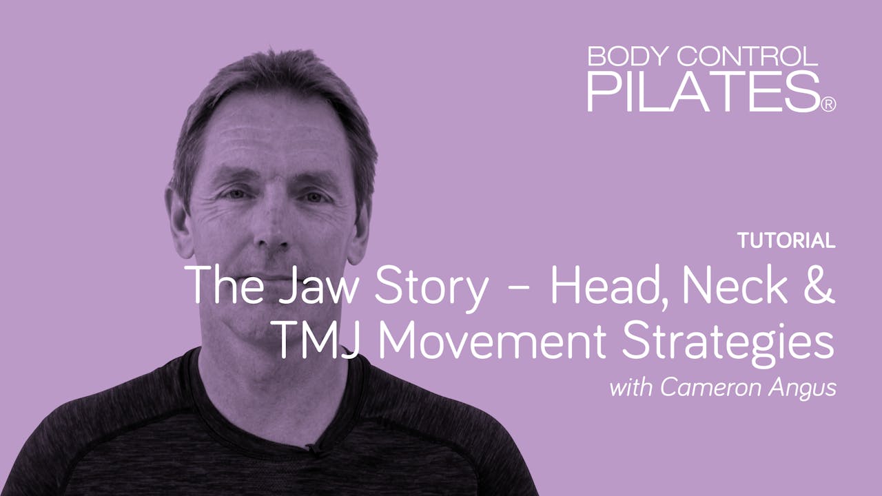 Tutorial: The Jaw Story - Head, Neck & TMJ Movement Strategies - Body ...