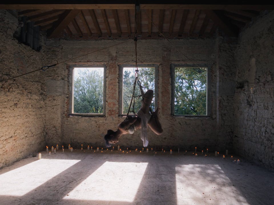 Reverie - BORDERLINE SHIBARI