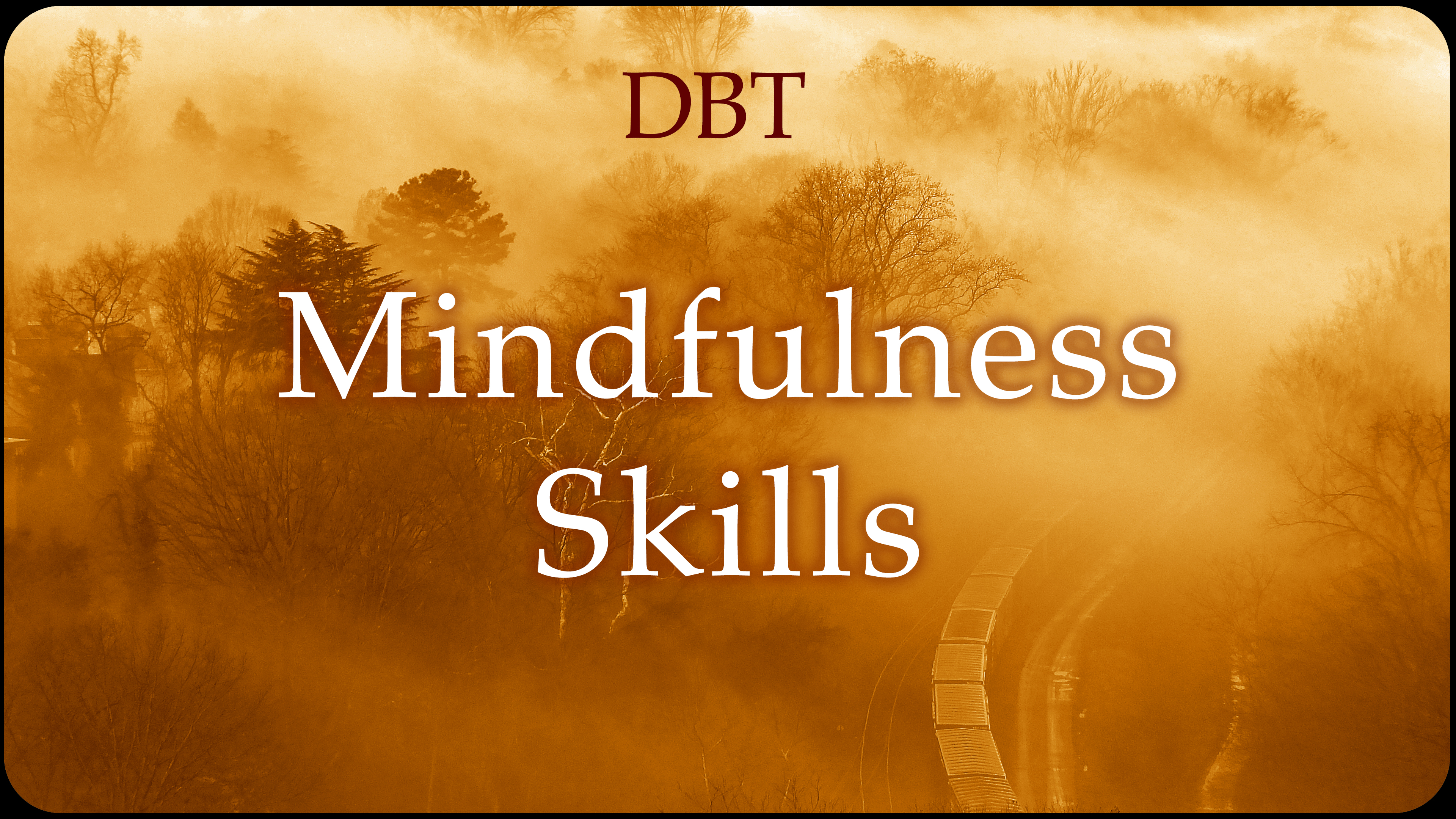 DBT Mindfulness Skills - BPDvideo+