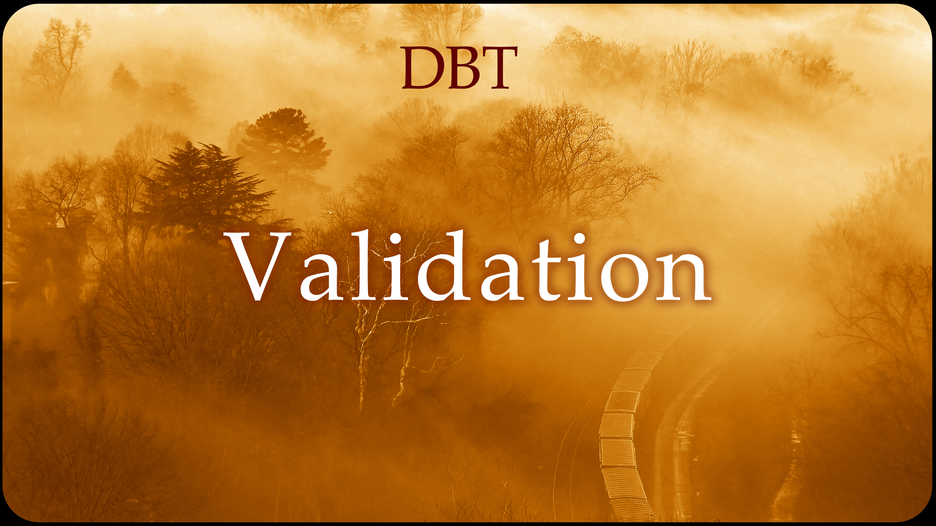 DBT validation - BPDvideo