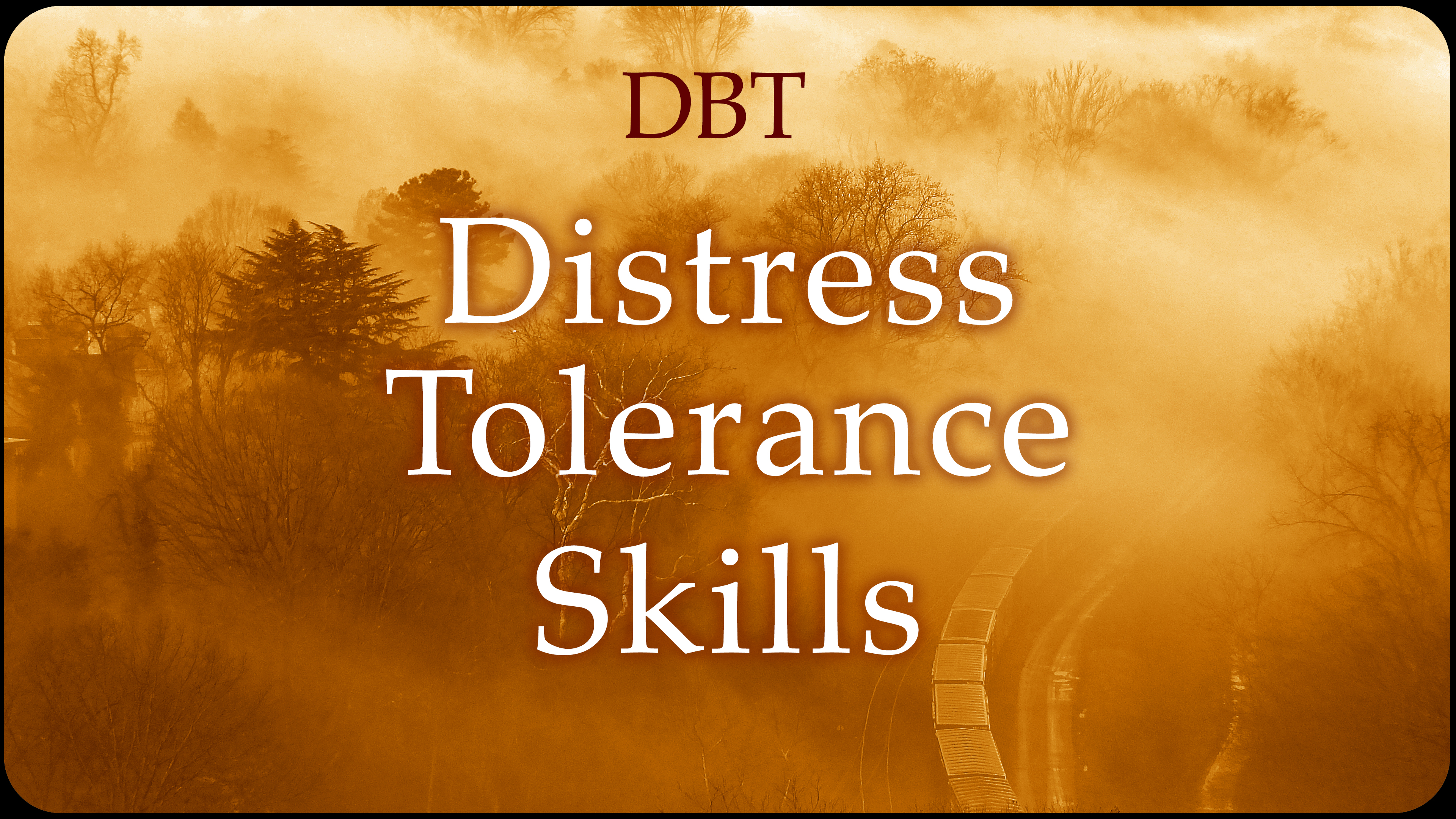 DBT Distress Tolerance Skills - BPDvideo