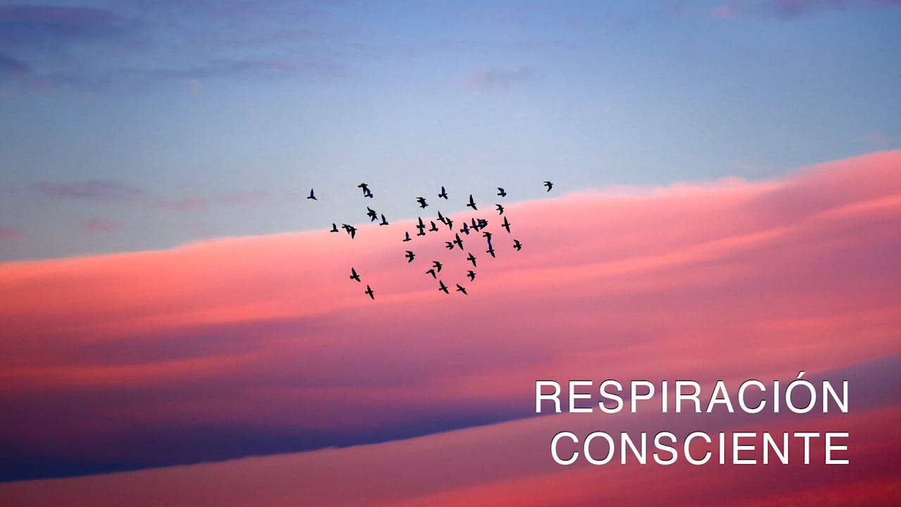 Respiración Consciente (Spanish) - Serie para Principiantes (Spanish ...