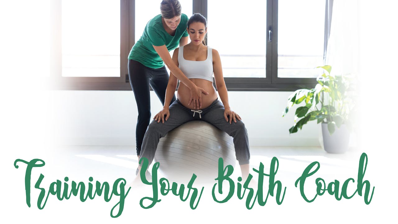 Labor and Delivery: Training Your Birth Coach: Pregnancy & Birth Pack ...