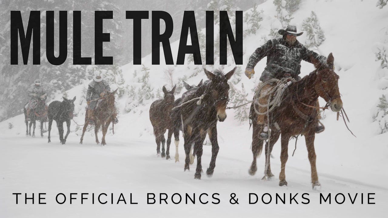 Mule Train - Mule Train- Broncs and Donks Movie - Broncs and Donks Films