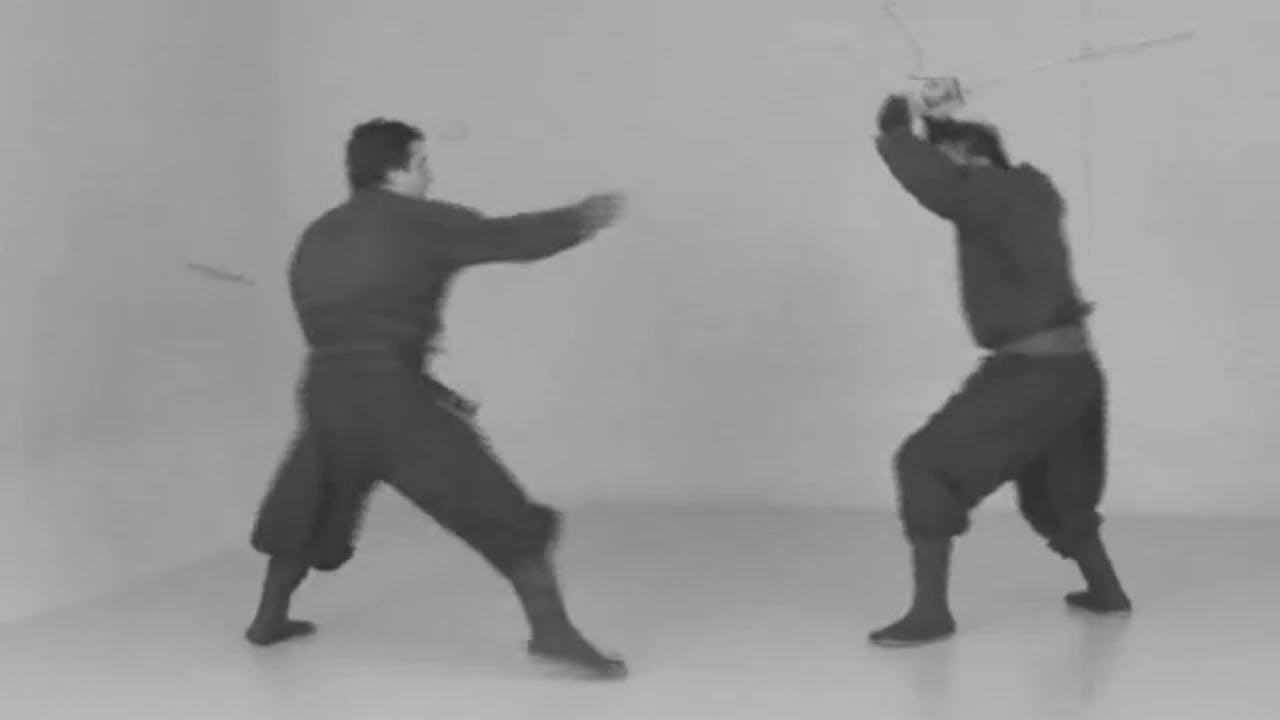 Iga Ryu Ninjutsu Empty Hands Techniques by Juan Hombre - Budovideos.TV