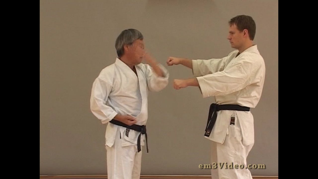 Shinshin Mugendo Art of Total Fighting 6 Volumes with Ben Otake Vol 5 ...