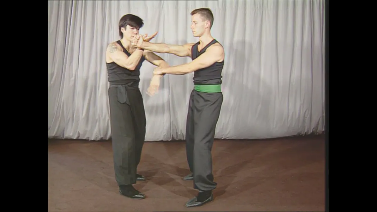Wing Chun Kung Fu Siu Lim Tao by Randy Williams - Budovideos.TV