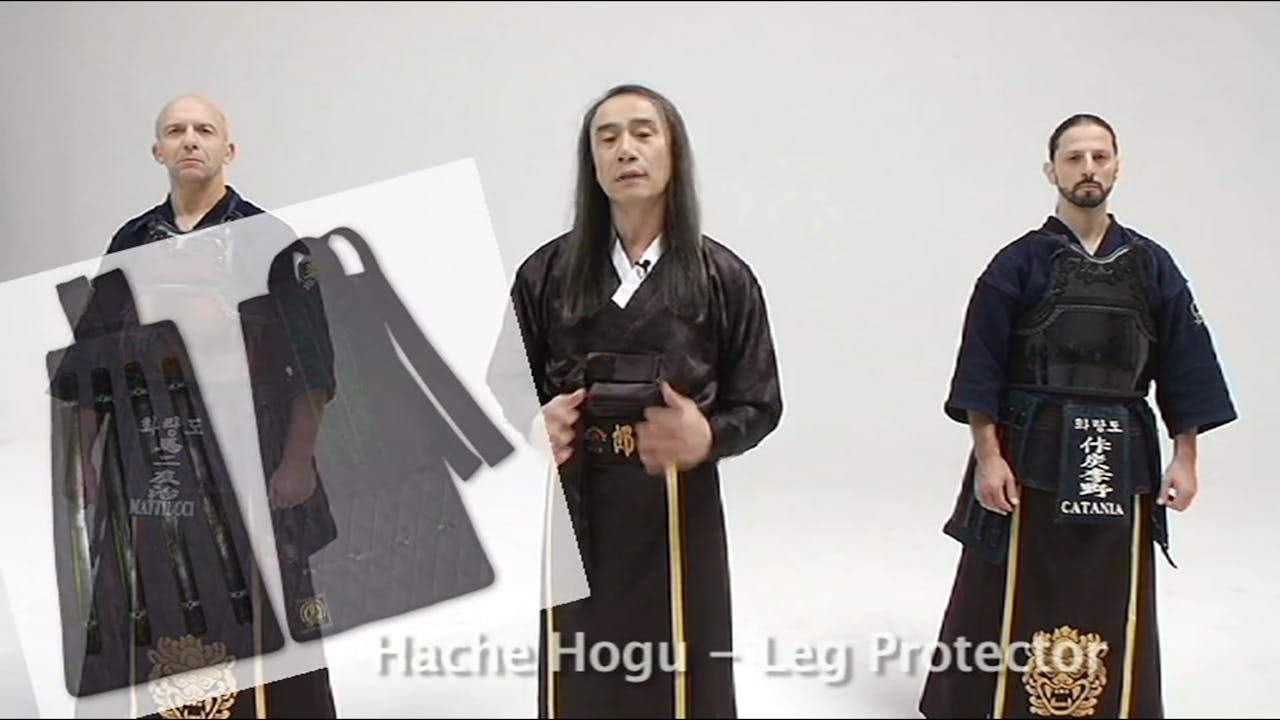 Hwa Rang Do Gumtoogi Sword Fighting with Taejoon Lee - Budovideos.TV