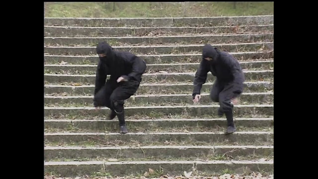 Koga Ryu Ninjutsu Empty Hands by Juan Hombre - Budovideos.TV