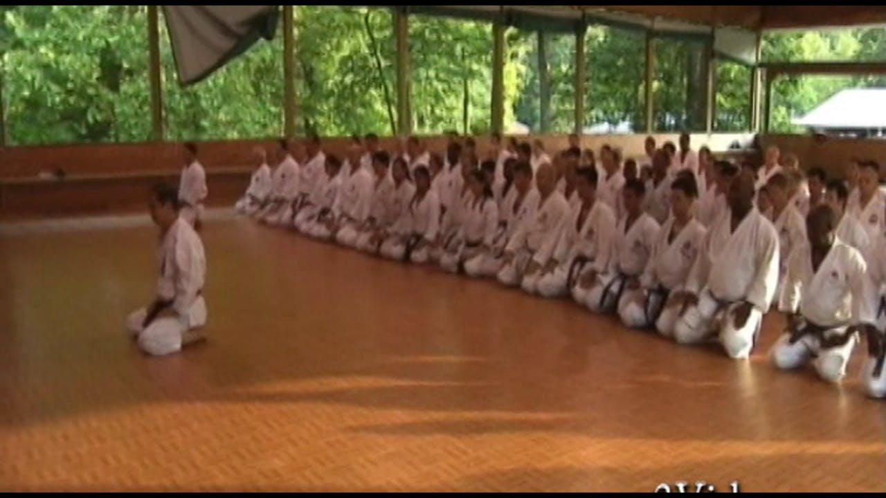 Shotokan Masters with Hirokazu Kanazawa - Budovideos.TV
