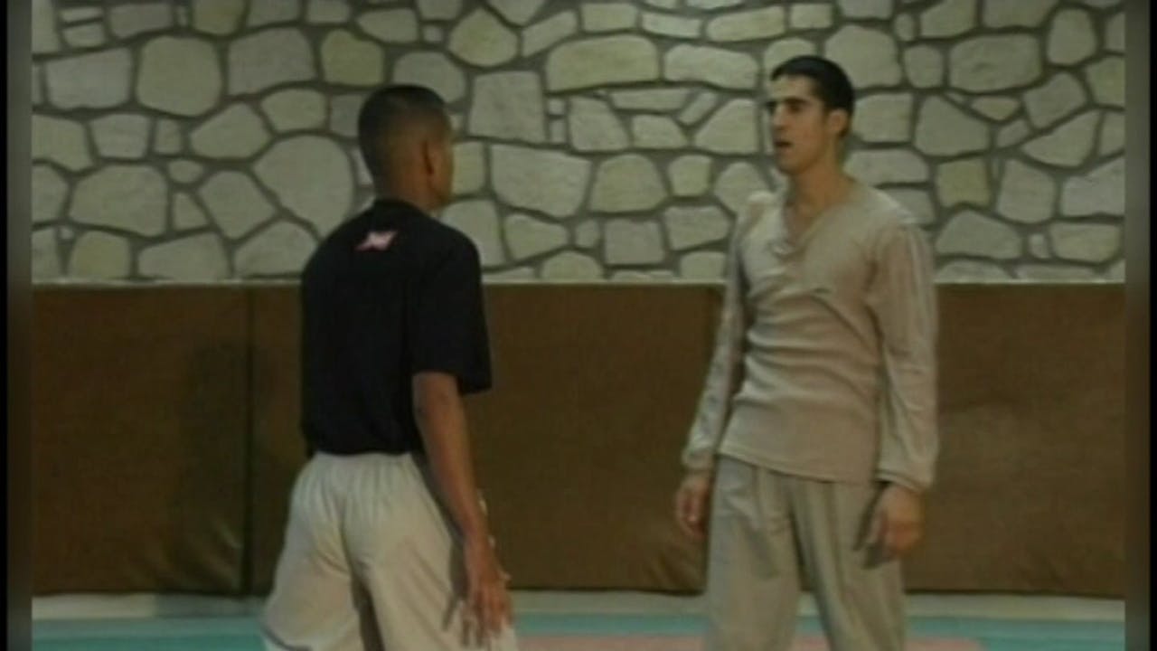 Best of 5 Experts Savate Self Defense VPM-175 - Budovideos.TV
