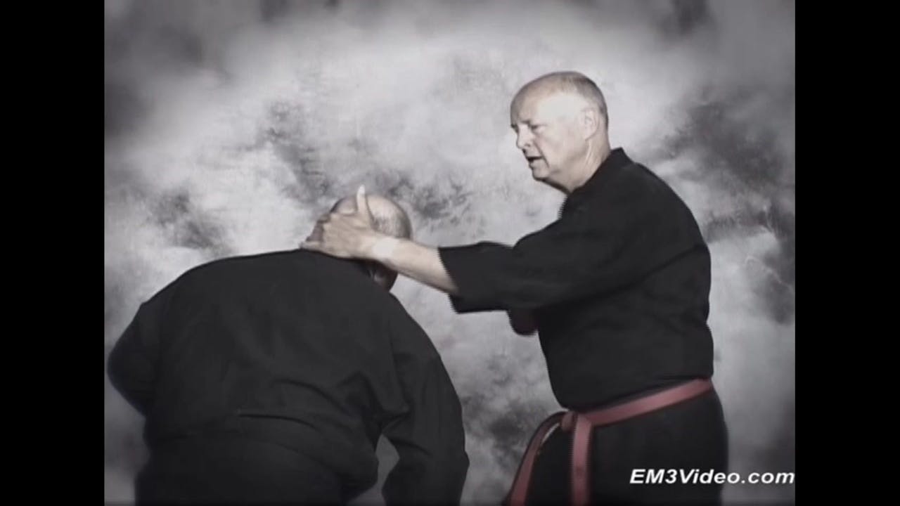 Hojutsu Ryu by Jeff Hall - Budovideos.TV