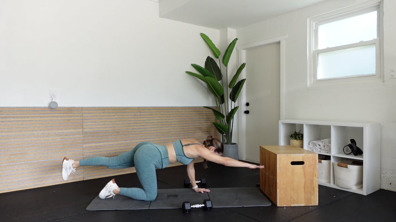 Chest + Tricep Burner - Build and Burn