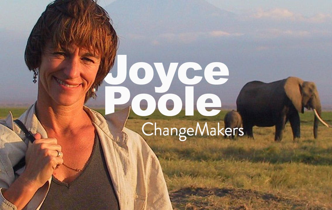 ChangeMakers - Joyce Poole - Ecoflix | Empowering Change