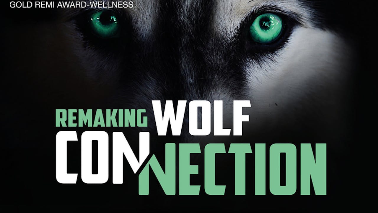 Remaking Wolf Connection - Ecoflix | Empowering Change