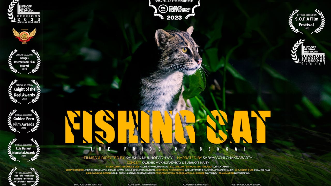 Out Now: Fishing Cat - The Pride Of Bengal - Ecoflix | Empowering Change