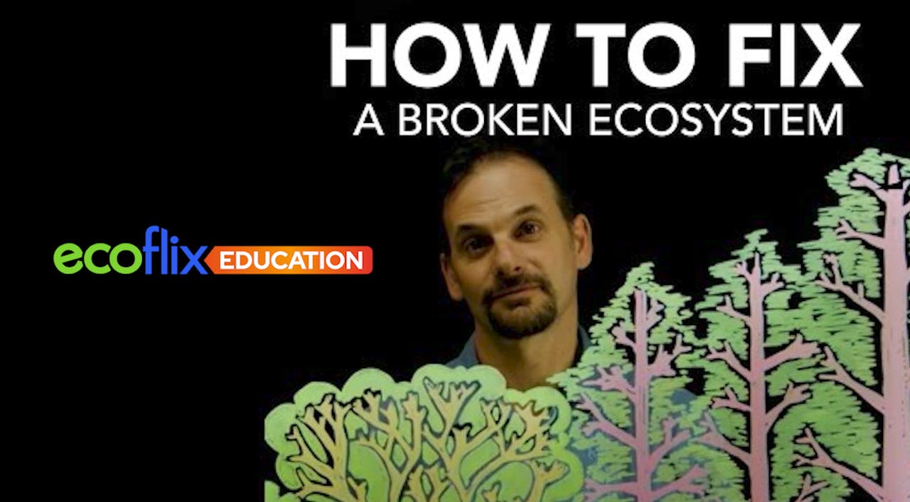 Andrew Millison's How to Fix a Broken Ecosystem - Ecoflix | Empowering ...