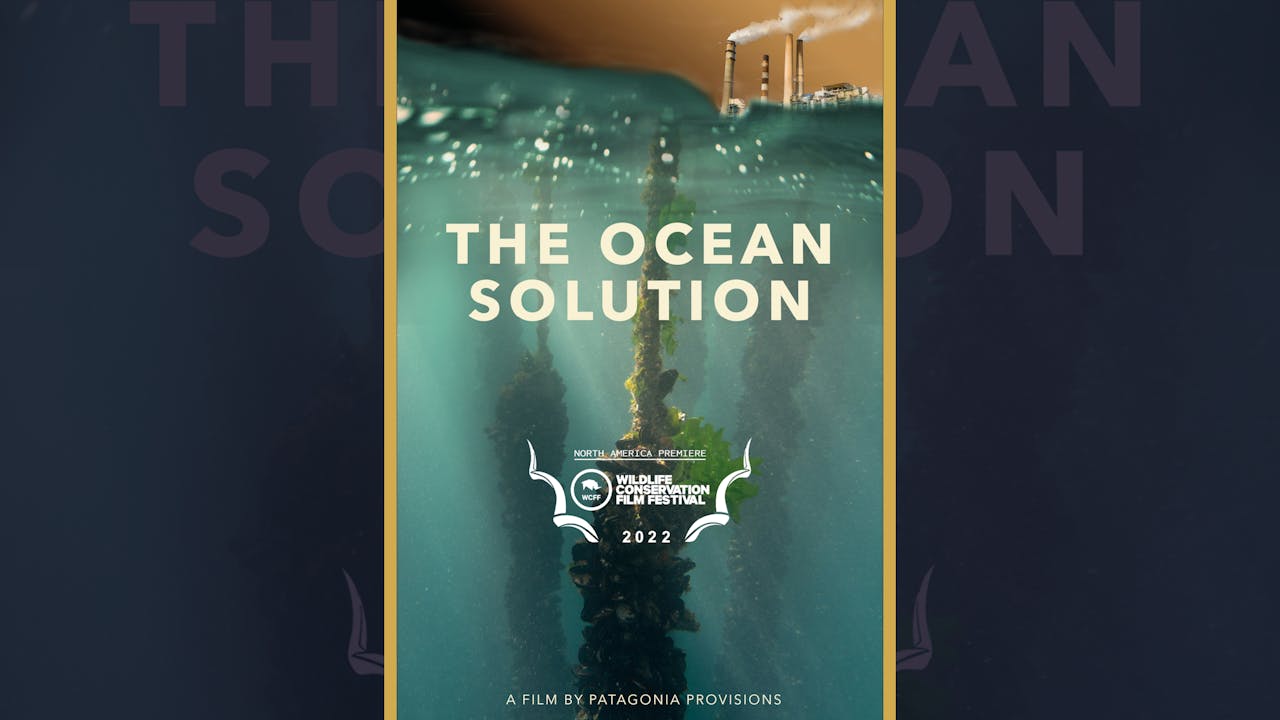 The Ocean Solution (Trailer) - WCFF 2022 Under the Water - Ecoflix | Empowering Change