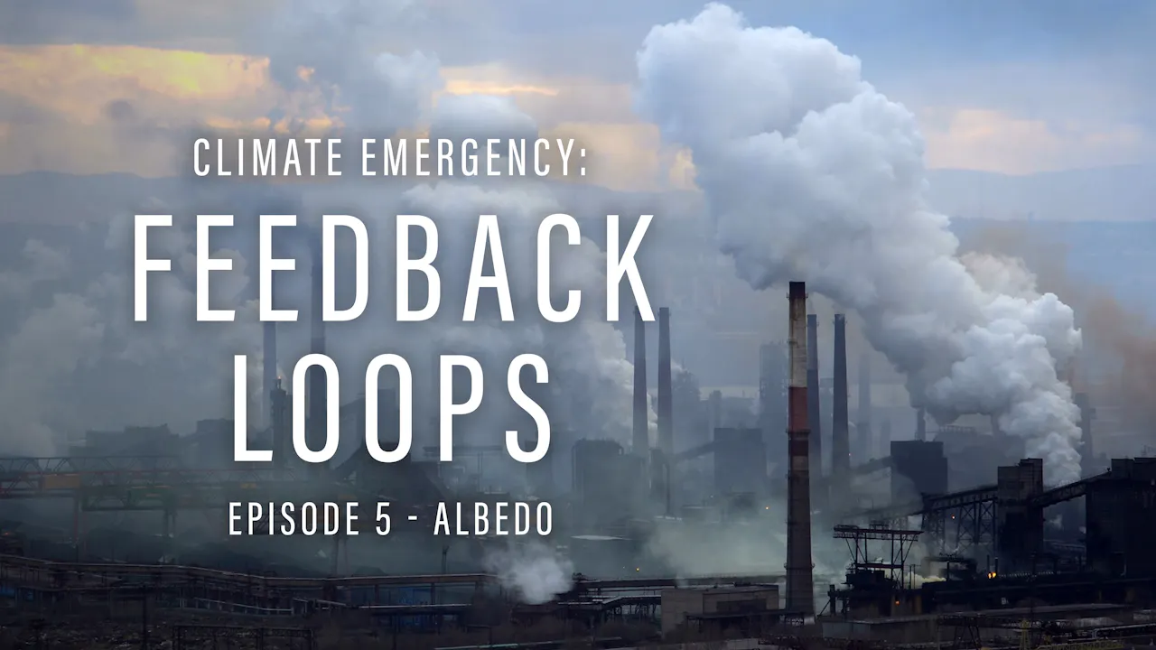 Climate Emergency: Feedback Loops 5 Albedo - Ecoflix | Empowering Change