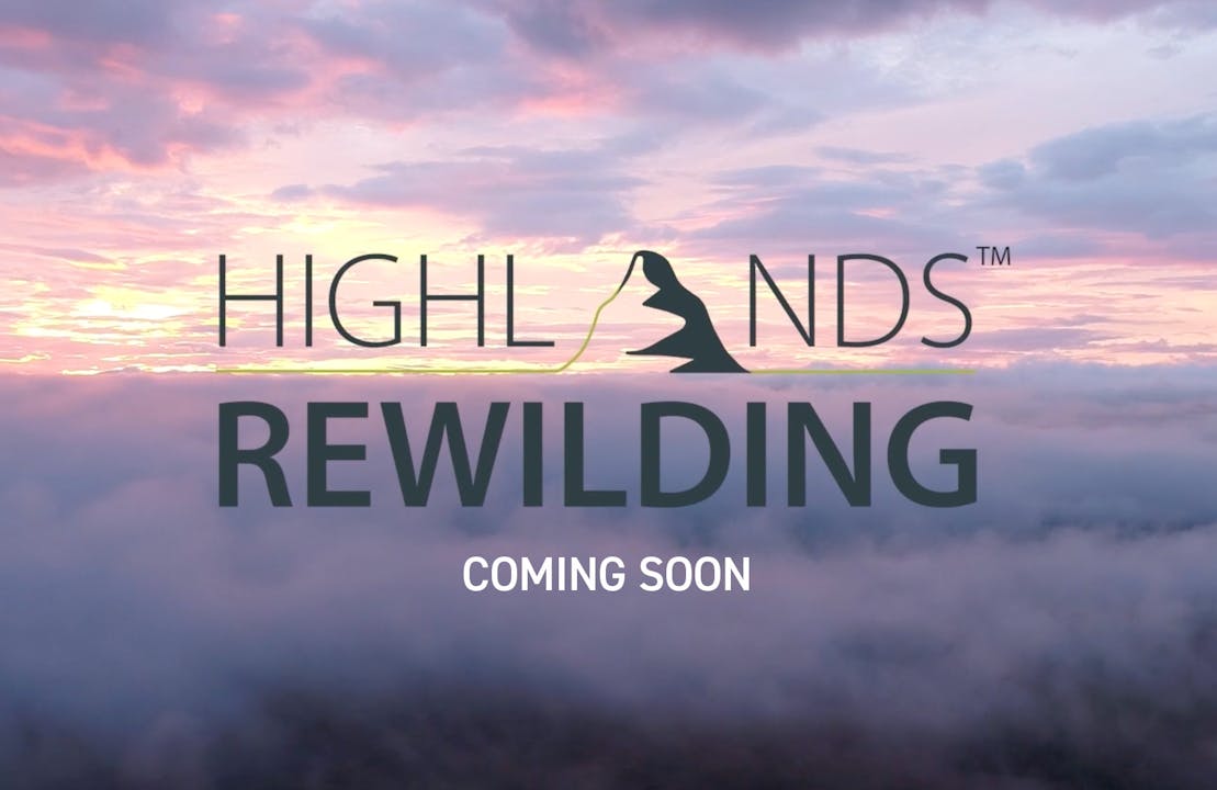 Highlands Rewilding Counting Nature Teaser - Teasers and Trailers - Ecoflix | Empowering Change