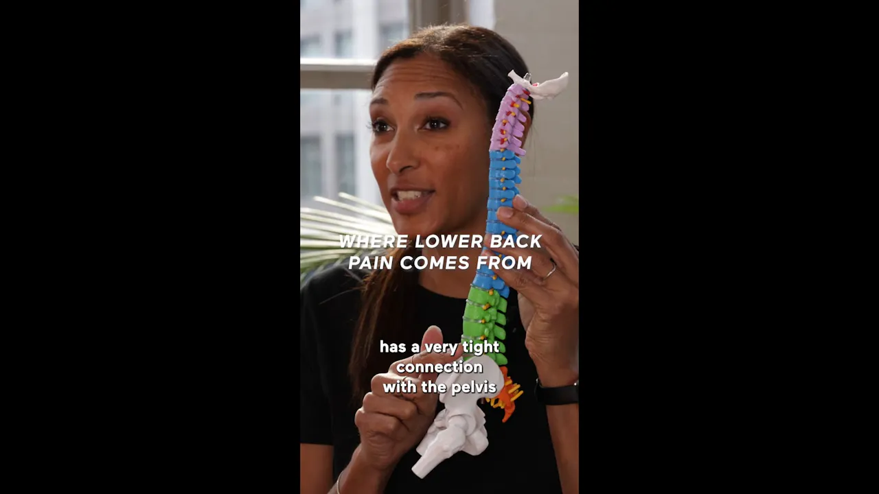 Where Lower Back Pain Comes From (Highlight) - CARAVAN