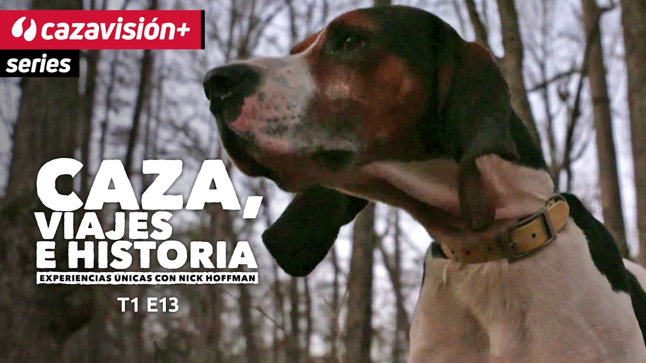 Cazando mapaches con sabuesos - Temporada 1 - Cazavisión+