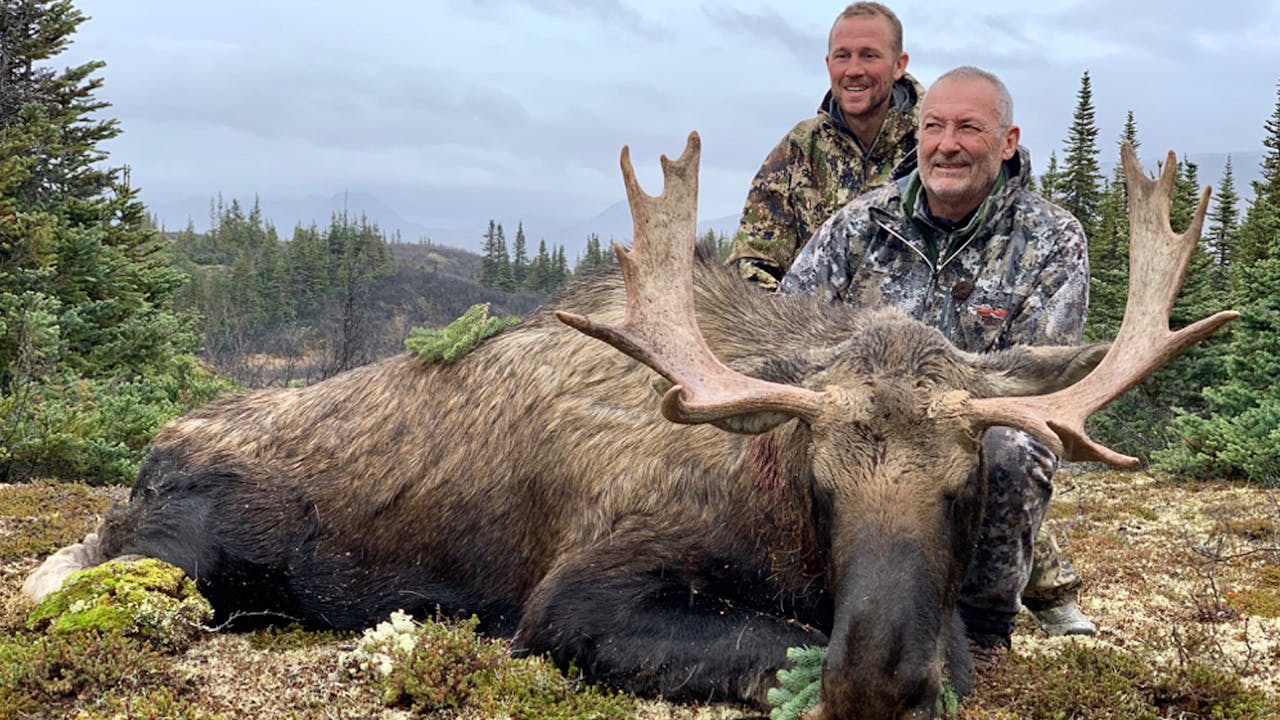 À conquista do alce do Canadá - Outros aproximações - Cazavisión+