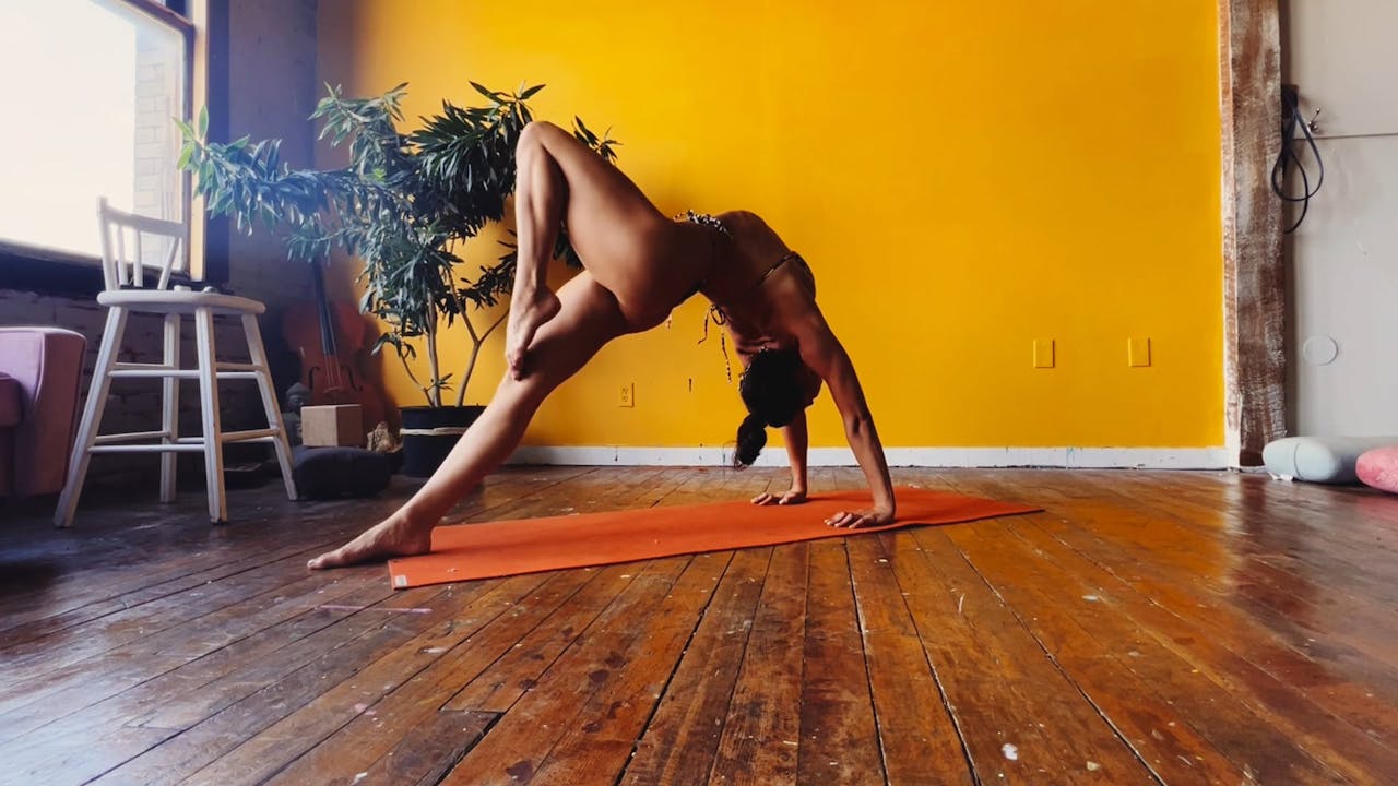 Yoga Flow: Cheetah Bikini - Cha Wilde
