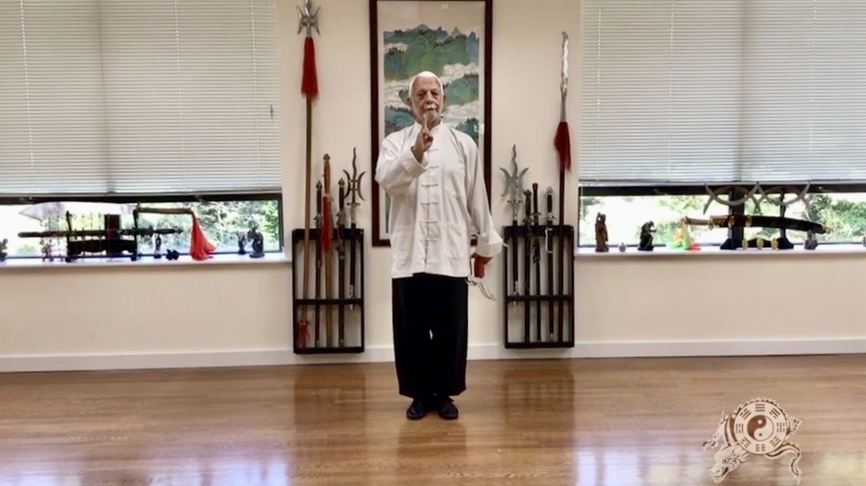 Traditional Weapon Skills Of Bagua Zhang - China Silk And Stone Hands