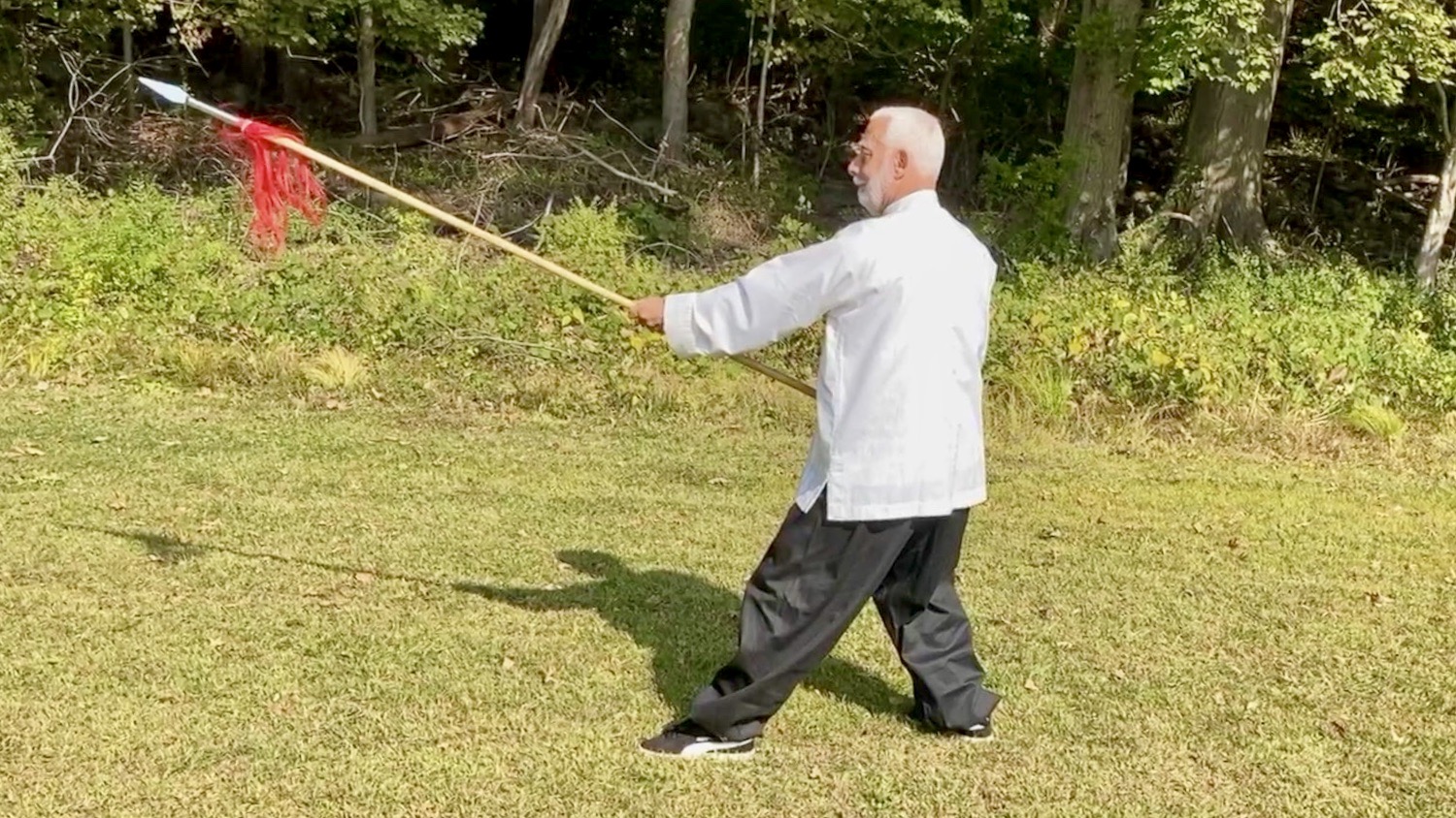 Traditional Weapon Skills Of Hsing I Chuan - China Silk And Stone Hands