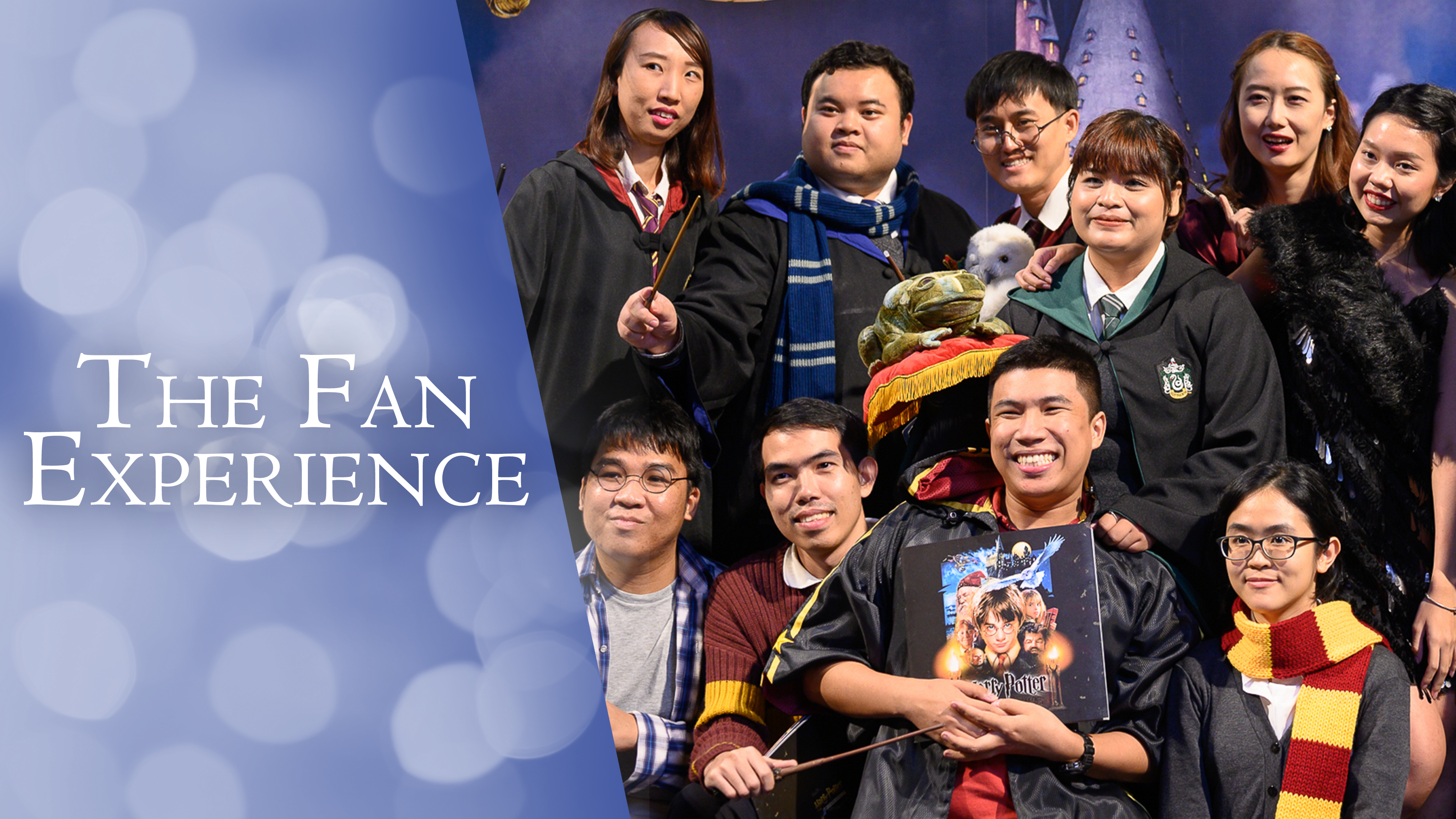 The Fan Experience - CineConcerts +PLUS