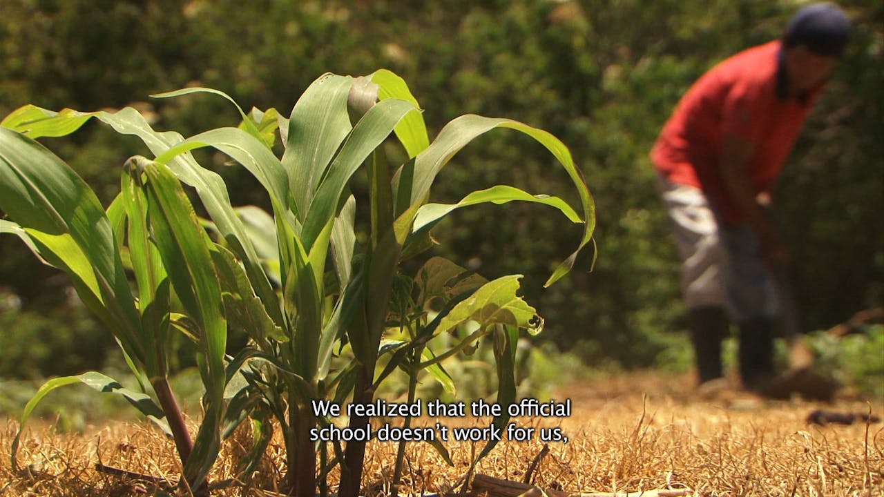 The Lesson of the Snail (Trailer) - Cinema Politica