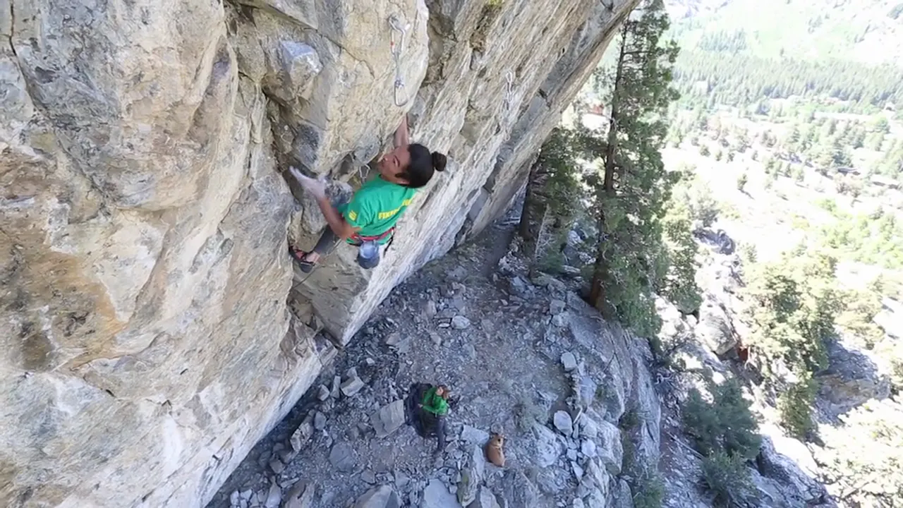 Sport Climbing: 5. Dynamic Movement - Climbing Tech Tips