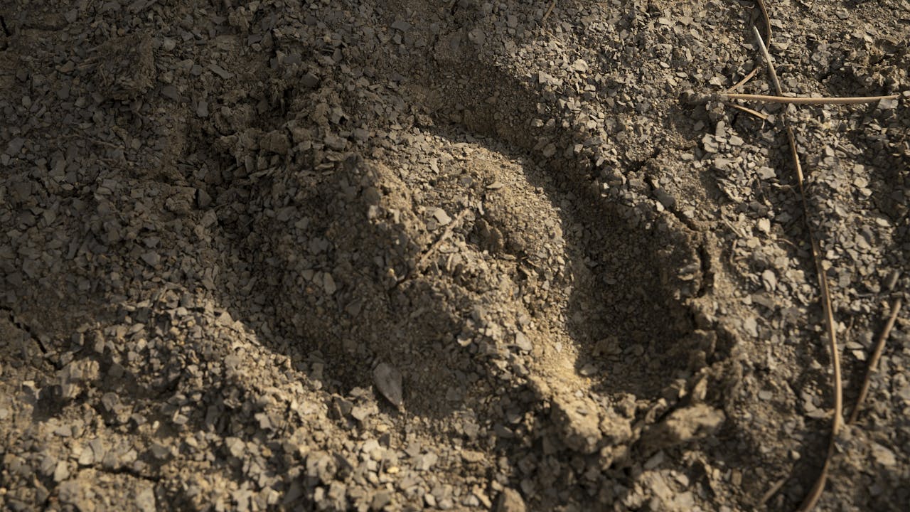 Ch. 8 - Locating Elk: Reading Sign - OutdoorClass // The Best in ...