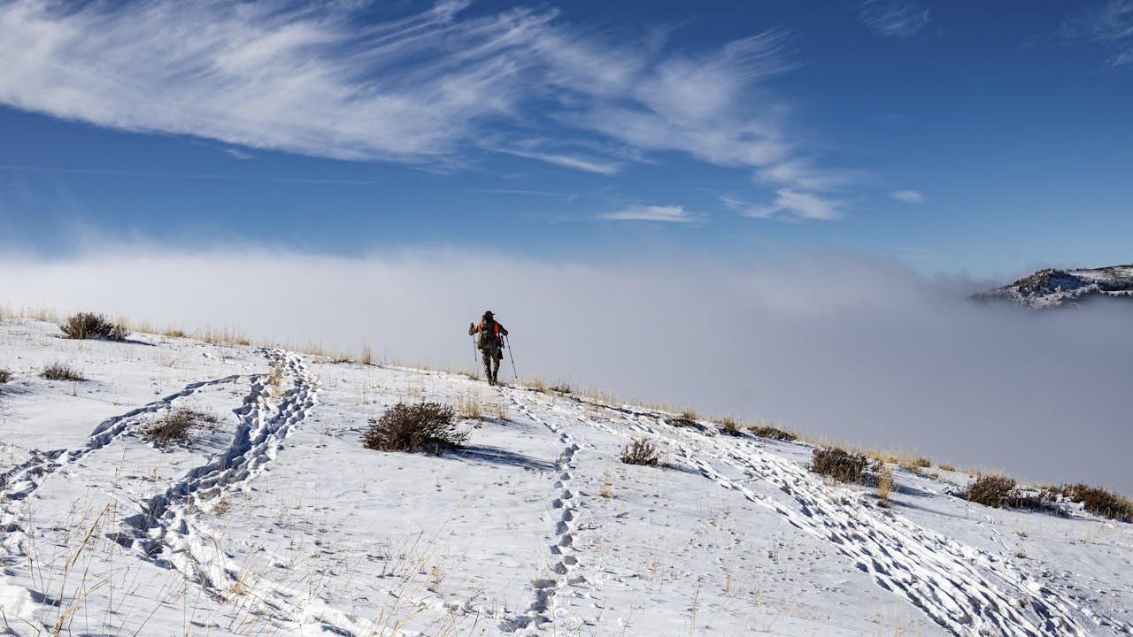 Ch. 8 - Hunting Pressure - Rifle Elk Hunting with Randy Newberg ...
