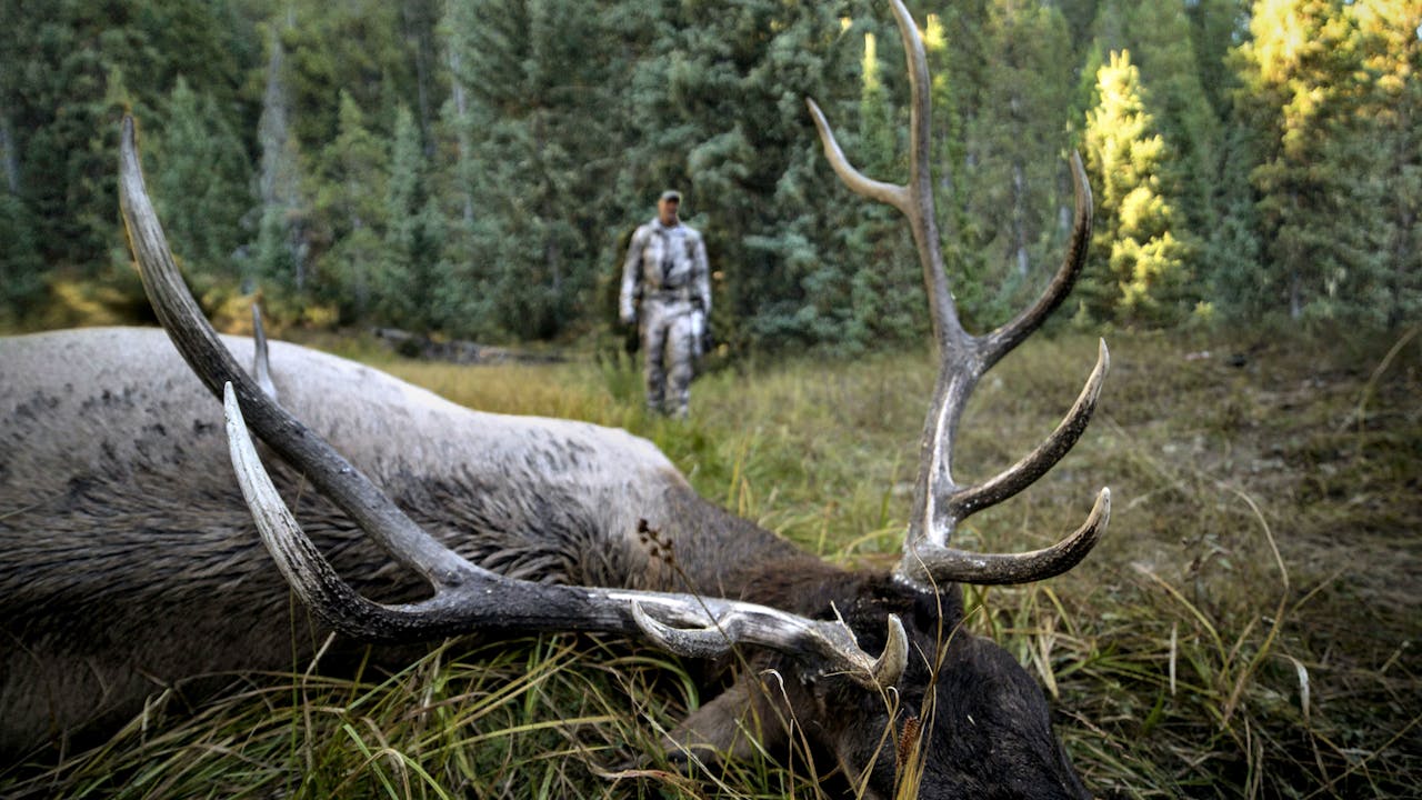 Intro to Module 12 - Tracking & Blood-Trailing - OutdoorClass // The ...