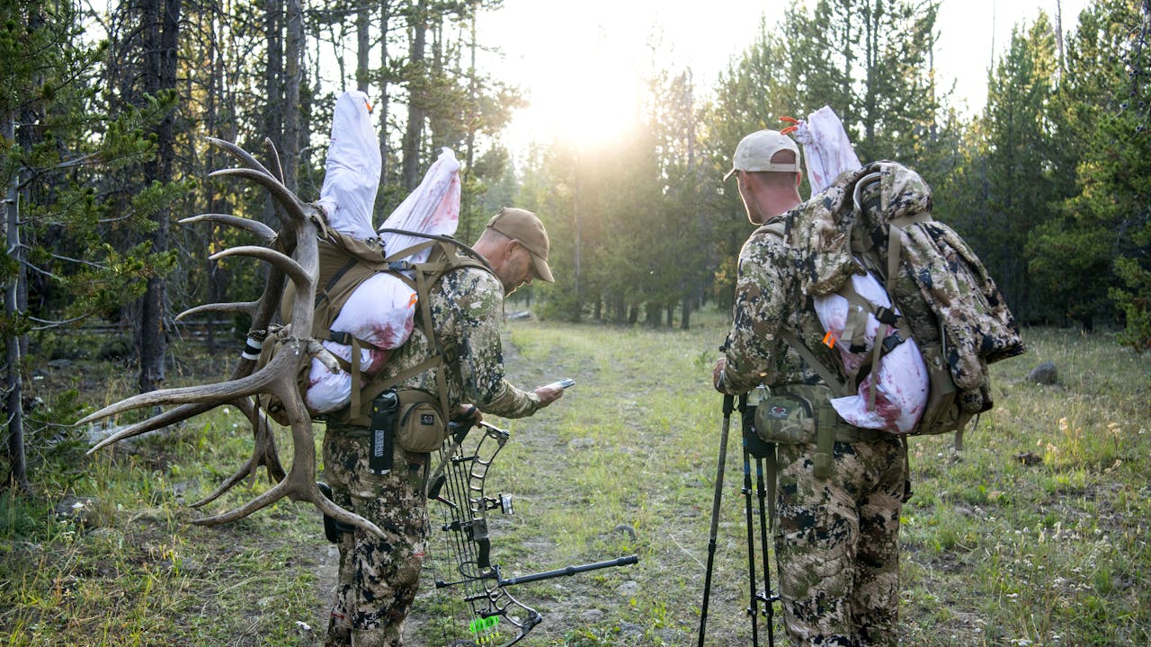 Intro to Module 14 - Packing Your Elk - OutdoorClass // The Best in ...