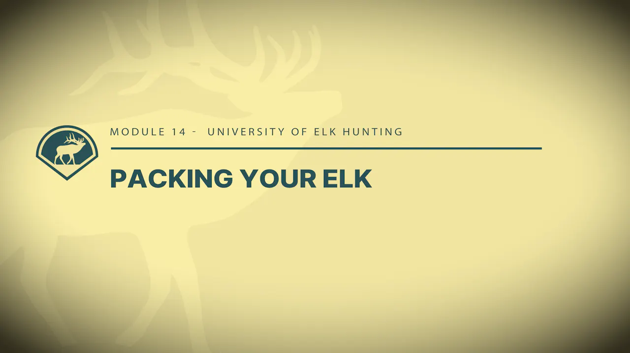 Module 14 - Introduction to Packing Your Elk - OutdoorClass // The Best ...