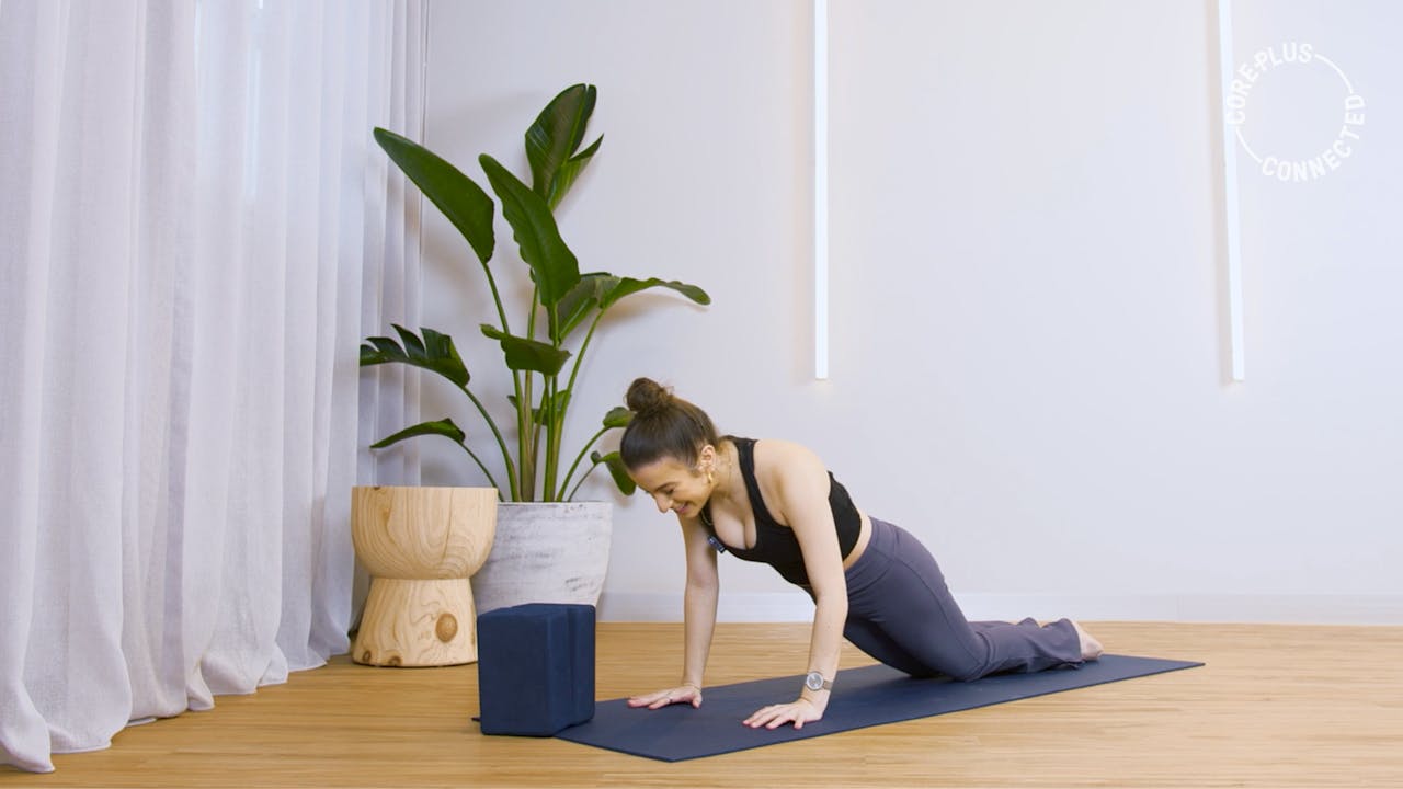 True Beginners Vinyasa Flow with Luisa - CorePlus Connected
