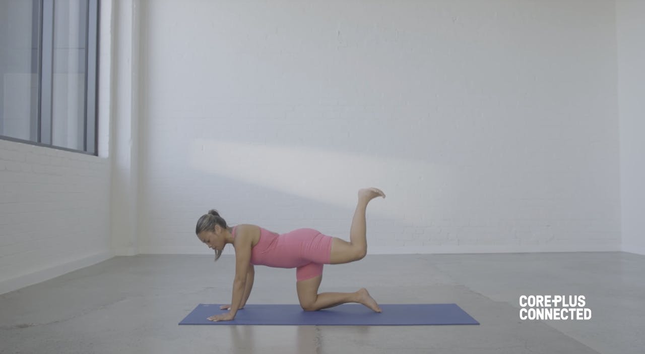 Full Body Burn with Rach - CorePlus Connected