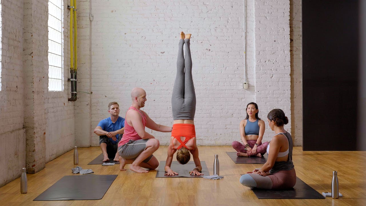 C2 Forearm Stand with Samson F - CorePower Yoga On Demand