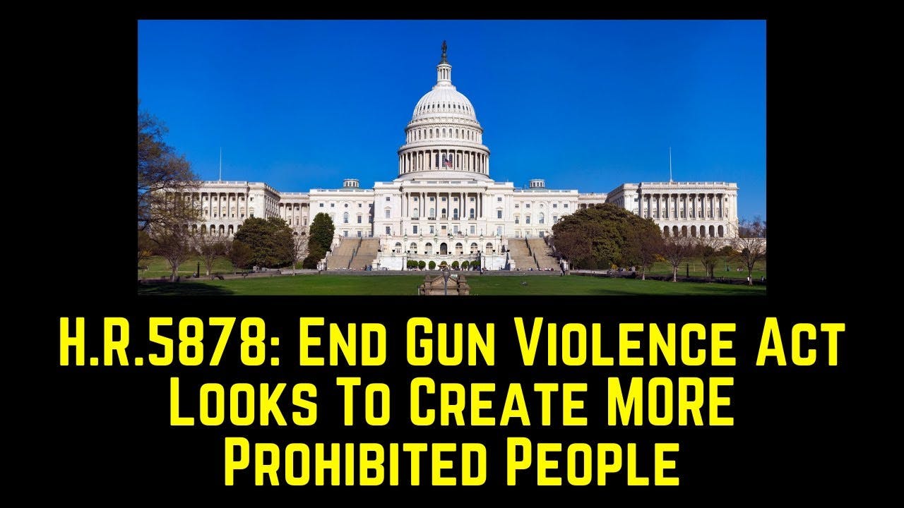 HR5878 | End Gun Violence Act of 2021 to Add MORE Prohibited People ...