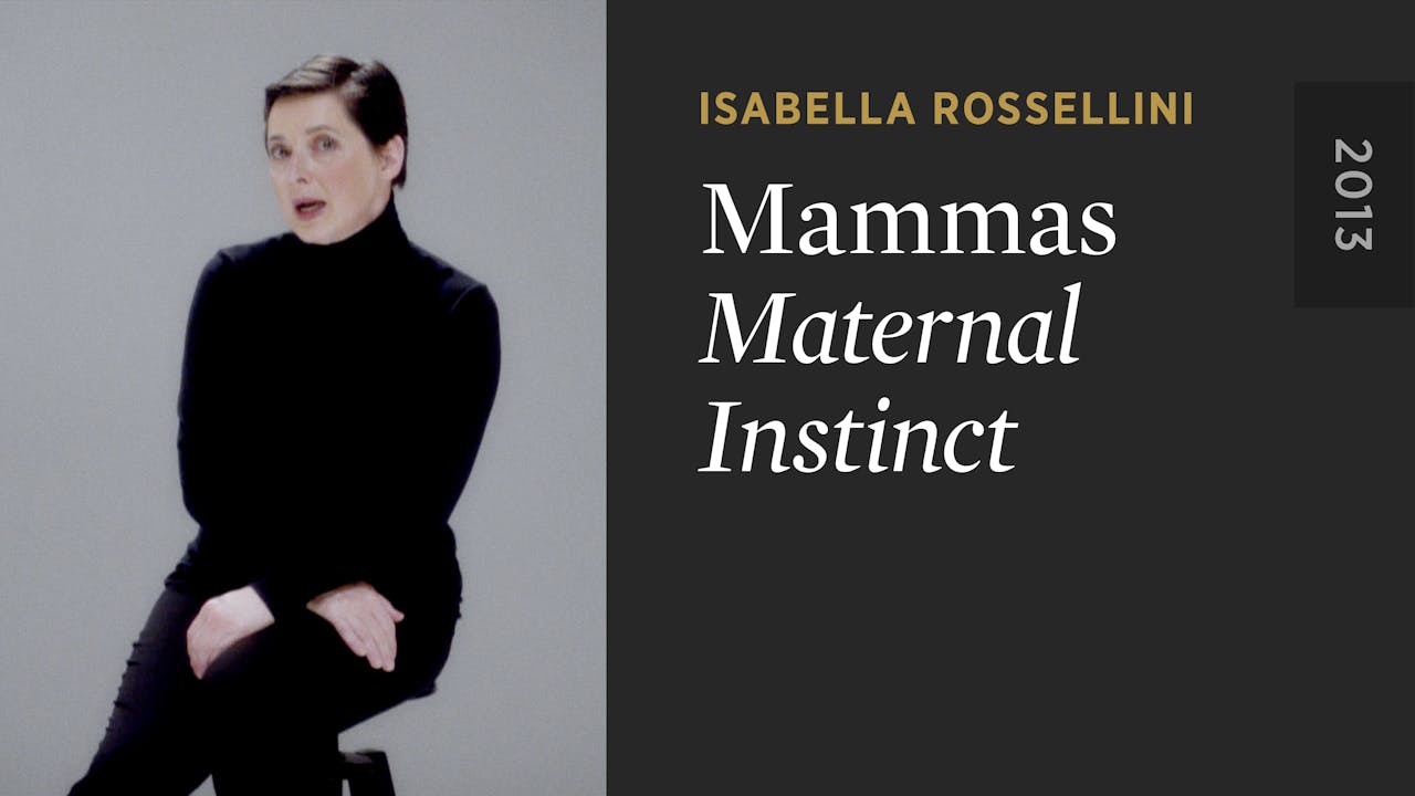MAMMAS: Maternal Instinct - The Criterion Channel