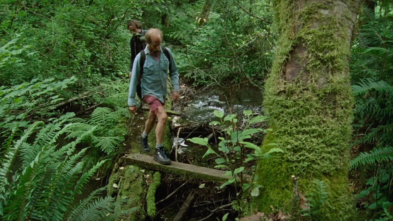 Pete Sillen on OLD JOY - The Criterion Channel