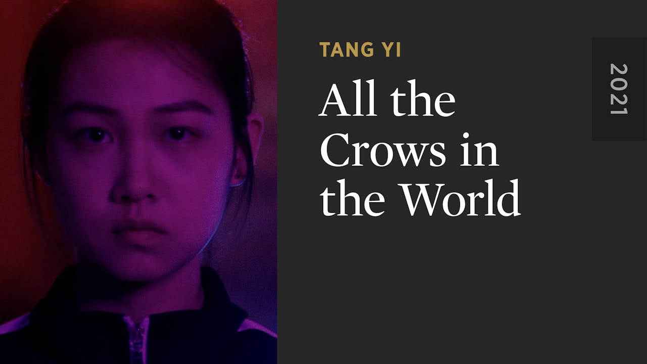 All the Crows in the World - All the Crows in the World - The Criterion ...