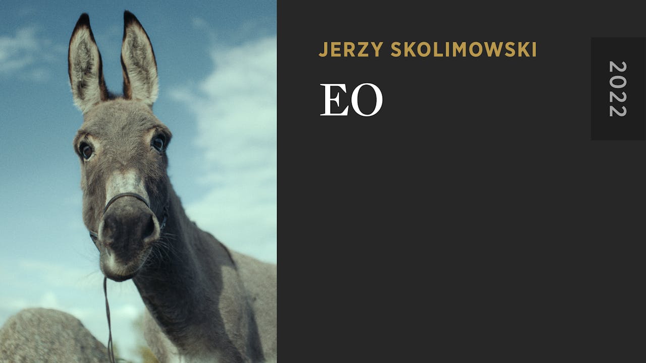 EO - The Criterion Channel